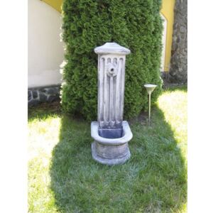 Cismea Tisa | FAVI.ro